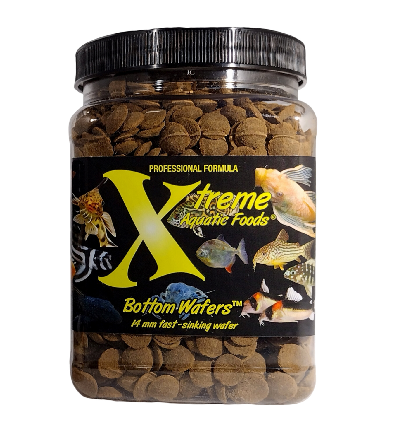 Xtreme Aquatic Foods | Premium Fish Food Range – FishBits