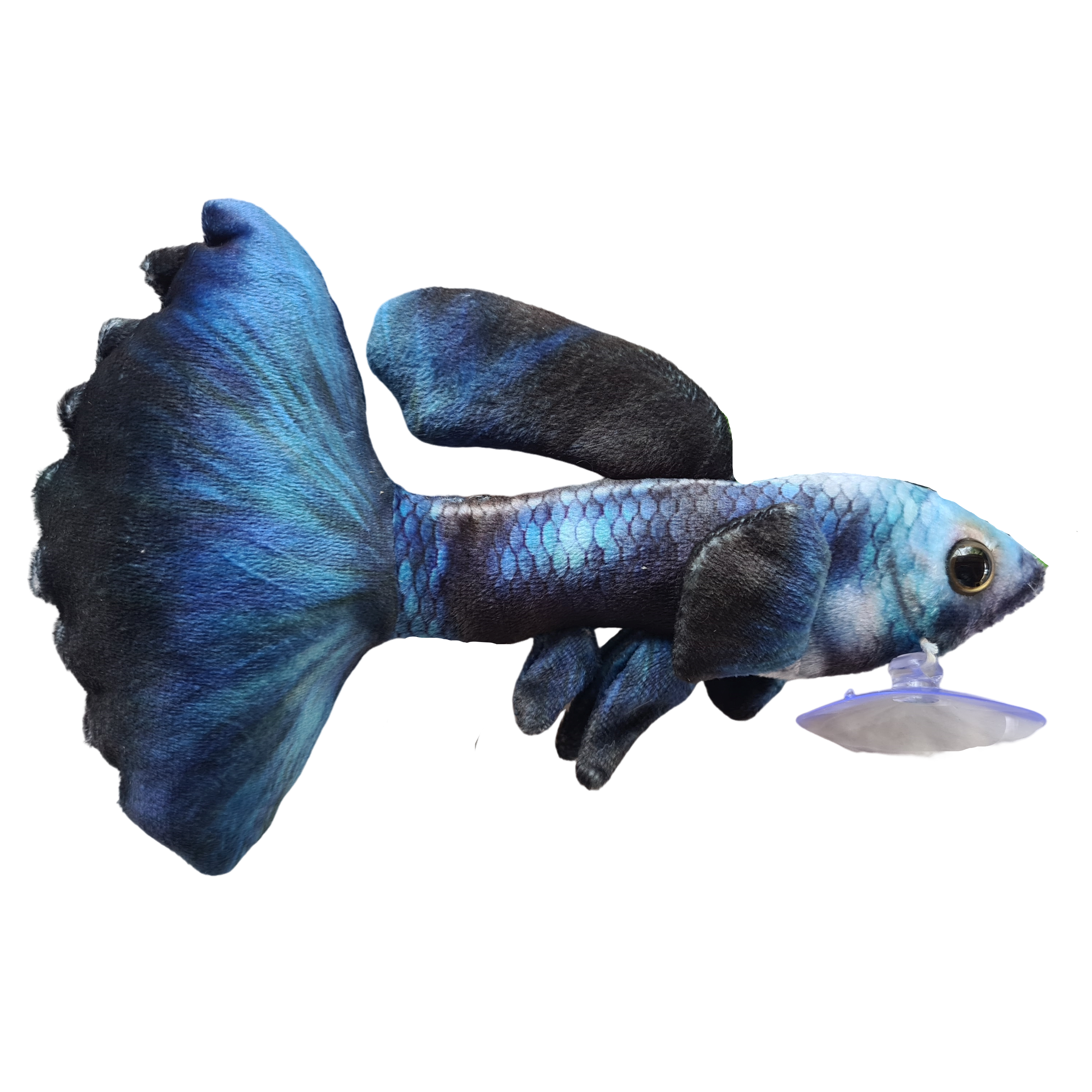 Electric Blue Fancy Guppy Plush Toy with Suction Cup Mouth | GreenPleco ...