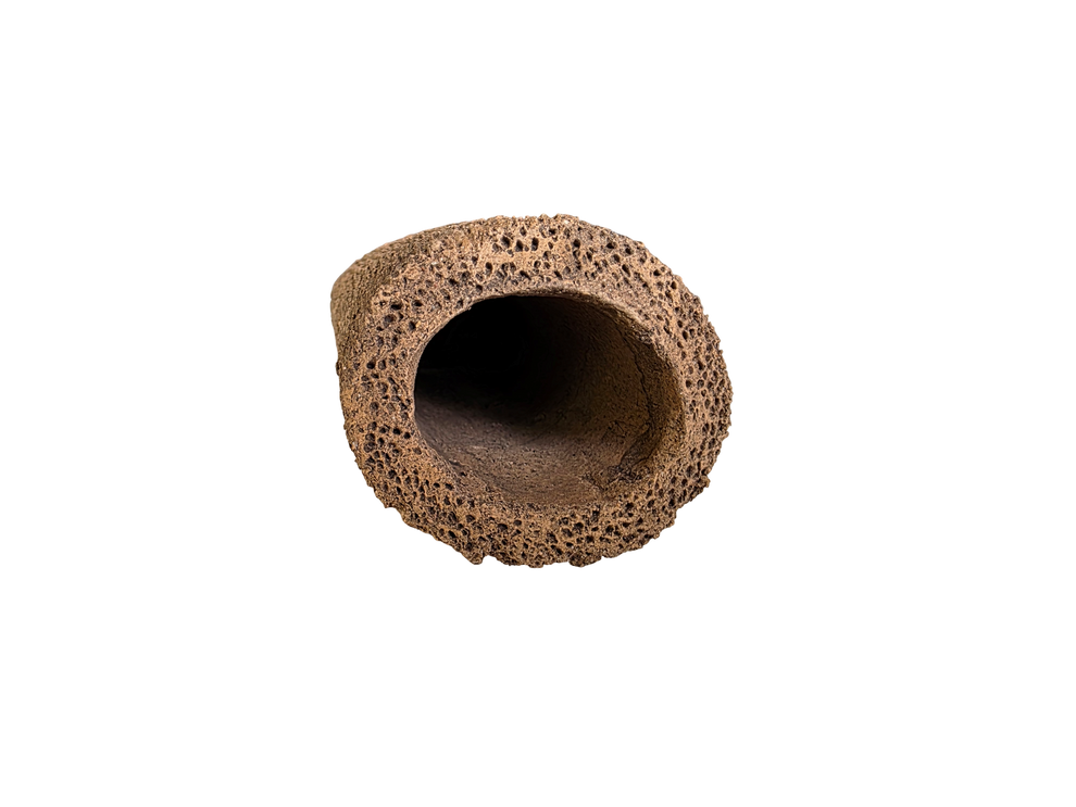 Bristlenose and Pleco Clay Oval Flattened End Breeding Cave/Log – FishBits