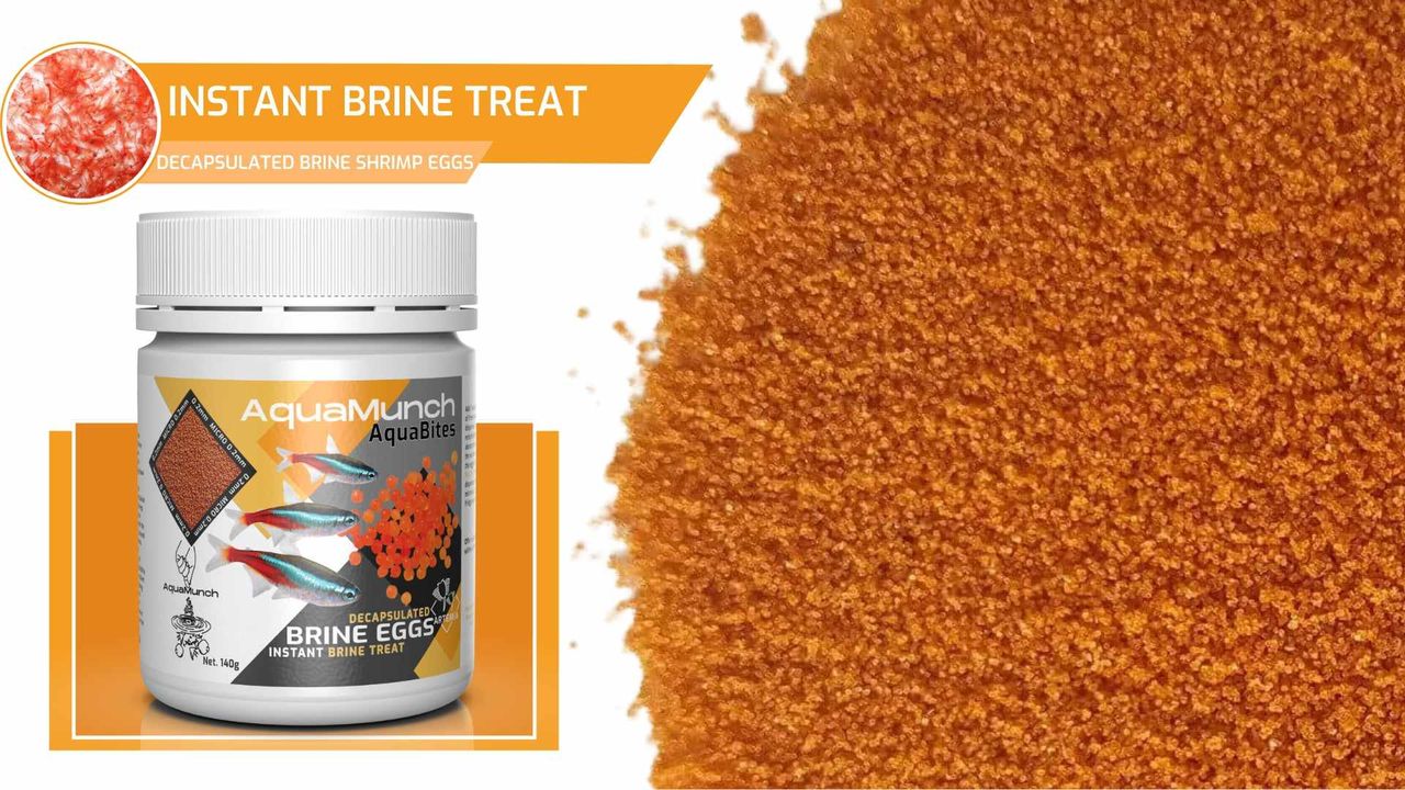 AquaMunch AquaBites Decapsulated Brine Shrimp Eggs 140g – FishBits