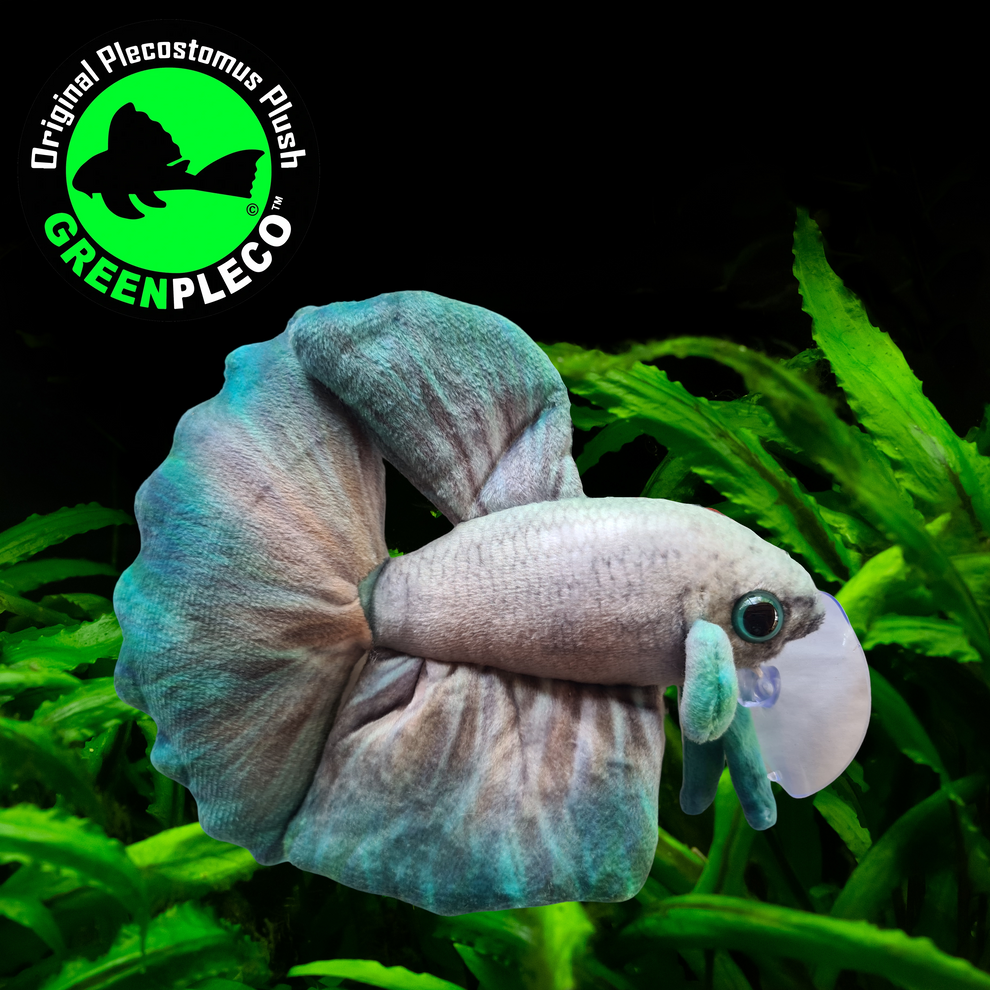 17cm Jade Mist Betta/Siamese Fighting Fish Plushie – FishBits