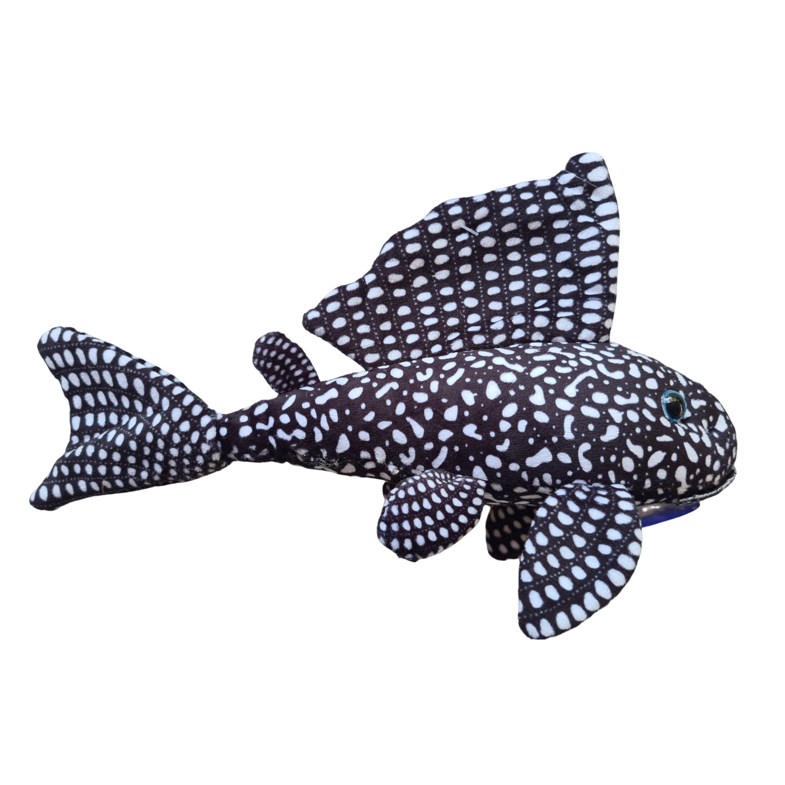 Famous Pleco Plush Toy (Black with Small White Spots) with Suction Cup ...