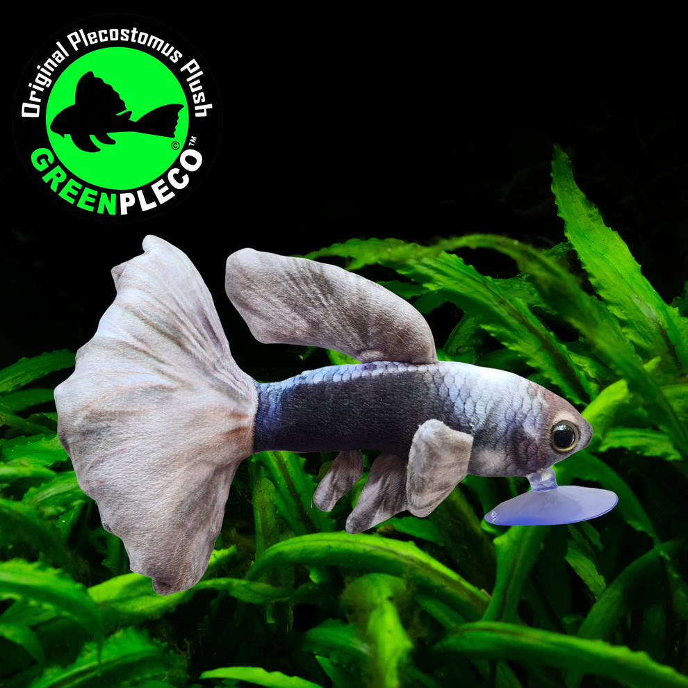 21cm Onyx Mist Guppy Fish Plushie – FishBits