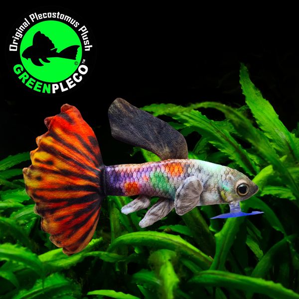 21cm Polychrome Guppy Fish Plushie – FishBits