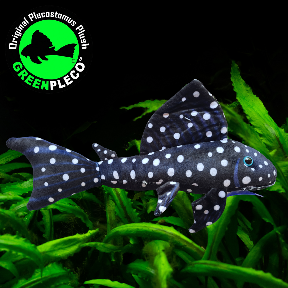 28cm Vampire Pleco Plushie – FishBits