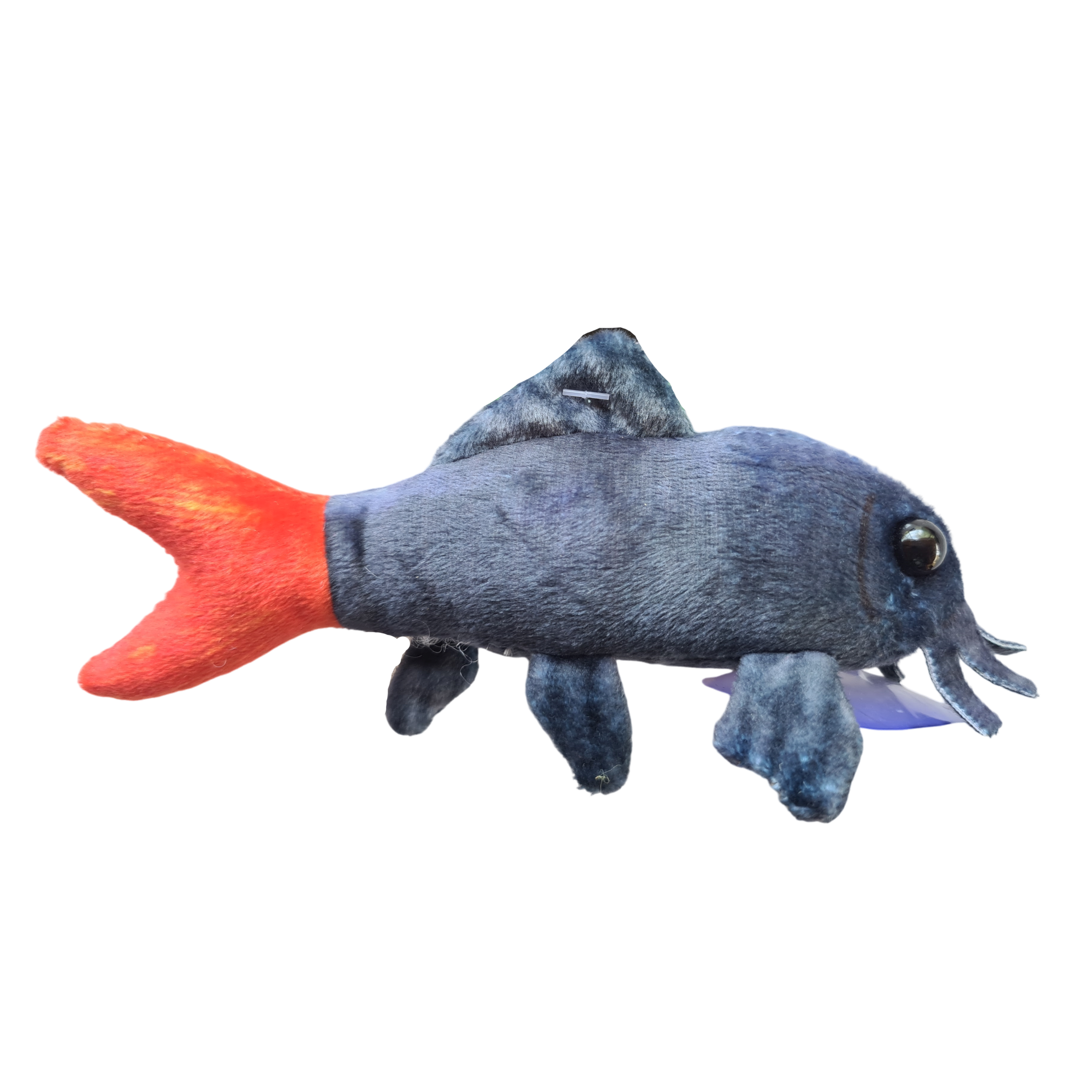 Red Tail Shark Plush Toy with Suction Cup Mouth | GreenPleco Aquarium ...