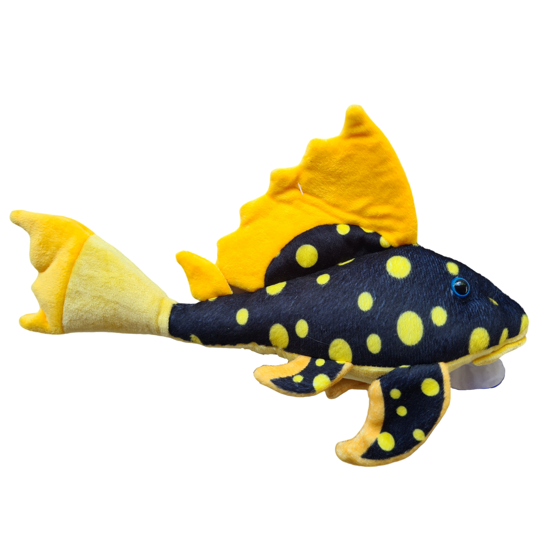 Sunshine Pleco Plush Toy (L014) with Suction Cup Mouth | GreenPleco ...